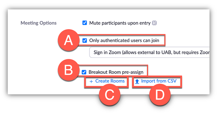 Pre-assign Breakout Rooms in Zoom - eLearning | UAB