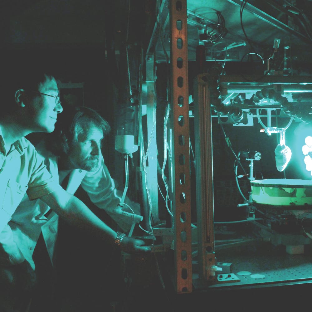 Research - School of Engineering -Biomedical Engineering | UAB