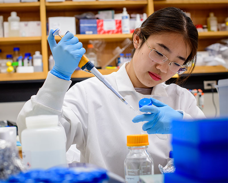 The Office of the Vice President for Research | UAB